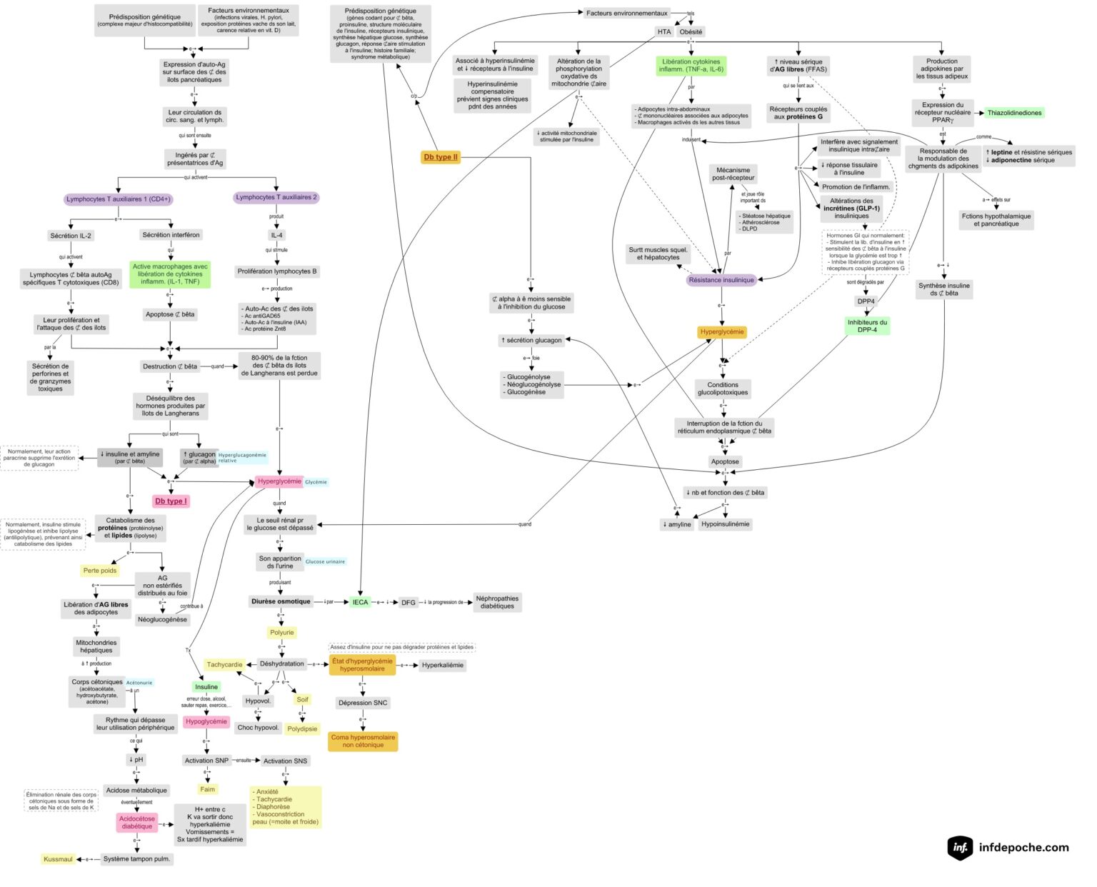Les schémas conceptuels, un outil puissant pour les études en soins ...